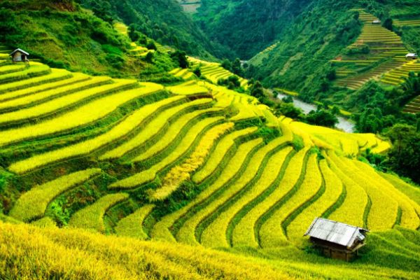 Vietnam Sapa trekking - Embark on the heart of Northern Vietnam
